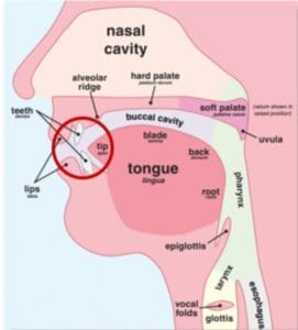 How to pronounce the Arabic letter sīn (س)? | Arabic Alphabet Academy
