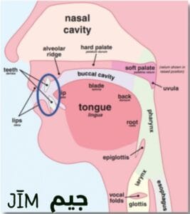 How to pronounce the letter jīm (ج)? - Arabic Alphabet Academy