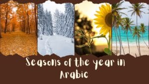 Seasons of the year in Arabic | (Vocabulary List with Audio)